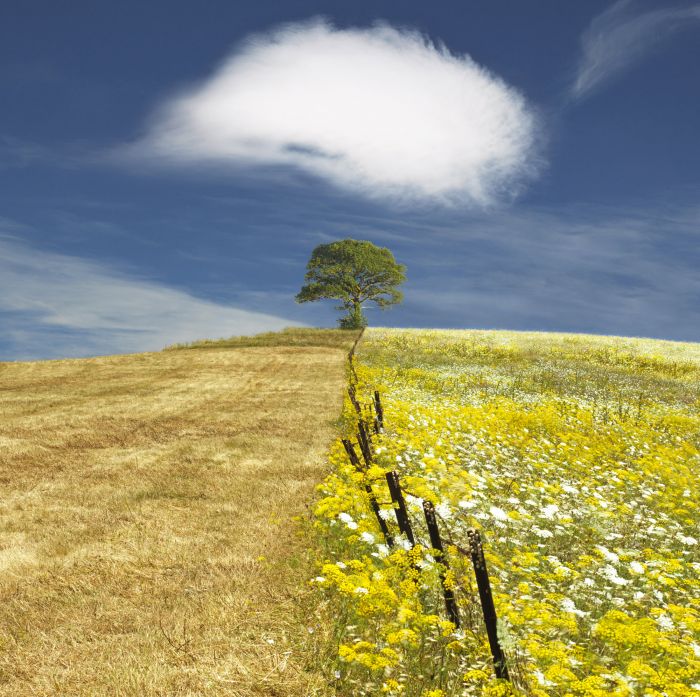 Charlie Waite | Photography Tour Tutor | Landscape Photographic Tour ...