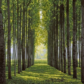 Charlie Waite | Photography Tour Tutor | Landscape Photographic Tour ...