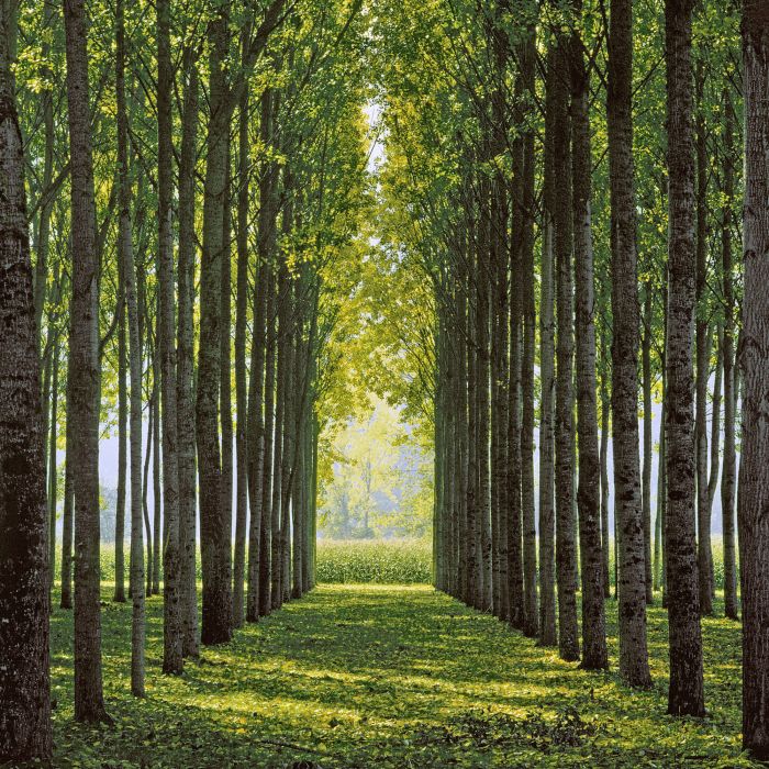 Charlie Waite | Photography Tour Tutor | Landscape Photographic Tour ...