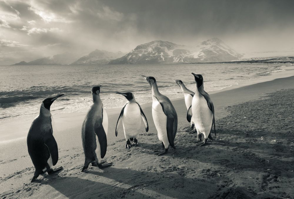 Joe Cornish | Landscape Photography Tour Tutor | Photographic Tour ...